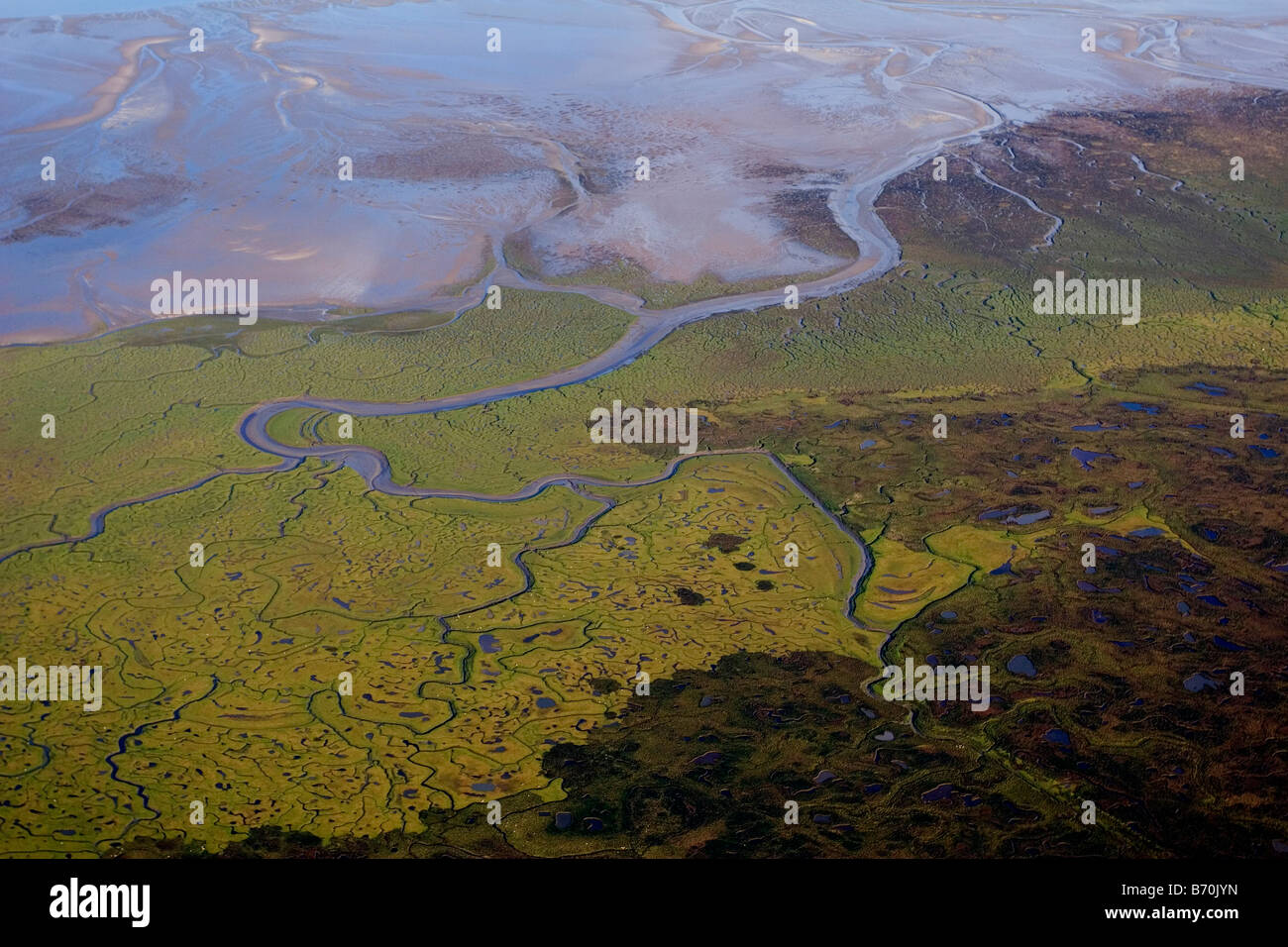 Llanrhidian Marsh Burry Inlet Gower West Glamorgan South Wales Stock ...