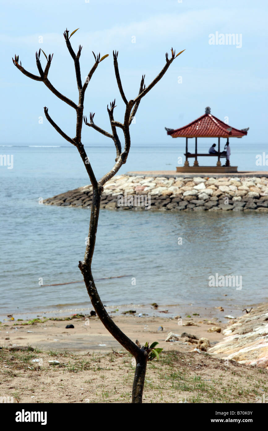Pagoda and tree hi-res stock photography and images - Alamy