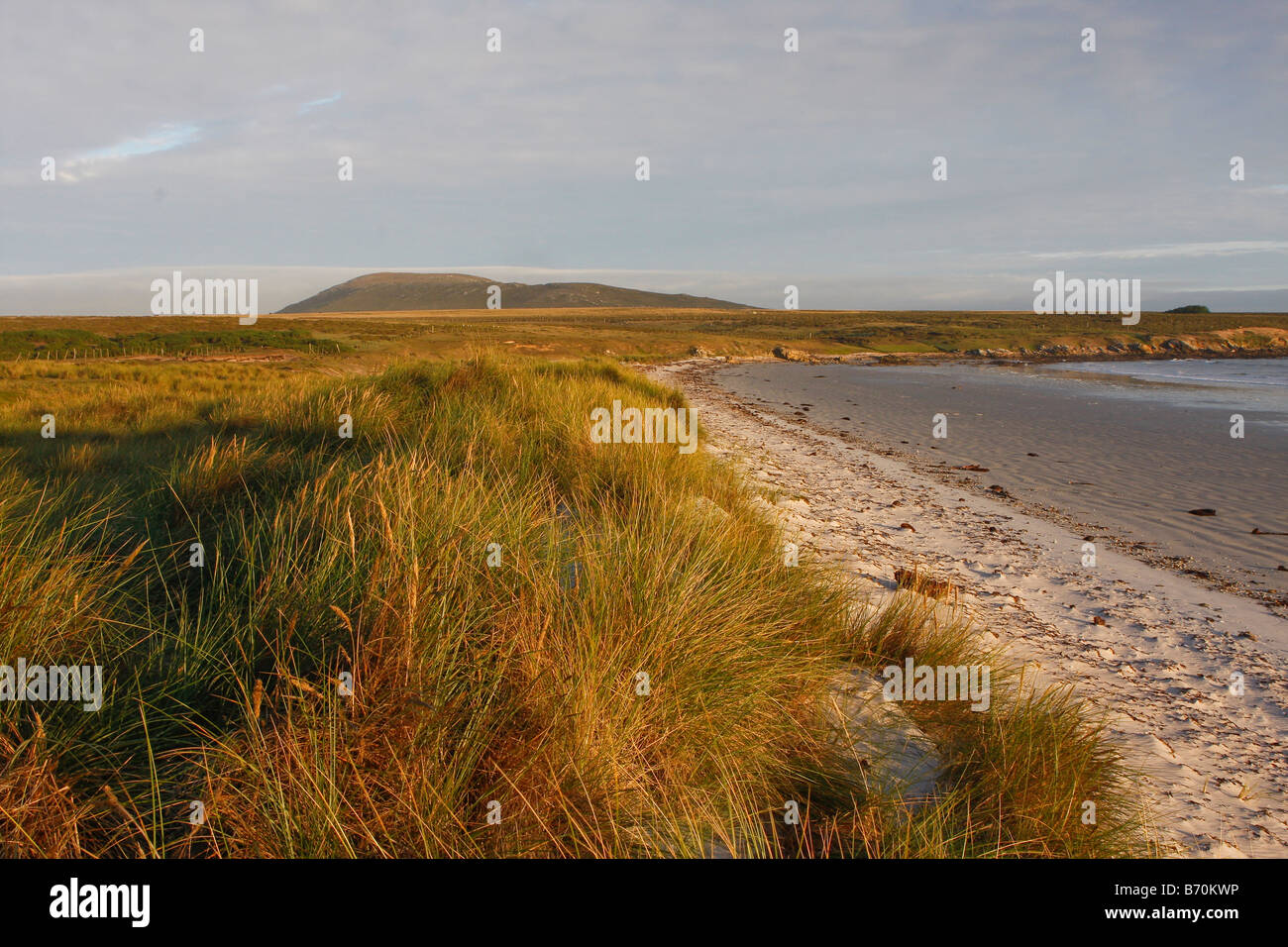 Pebble Island Landscape Falkland Islands Stock Photo - Alamy