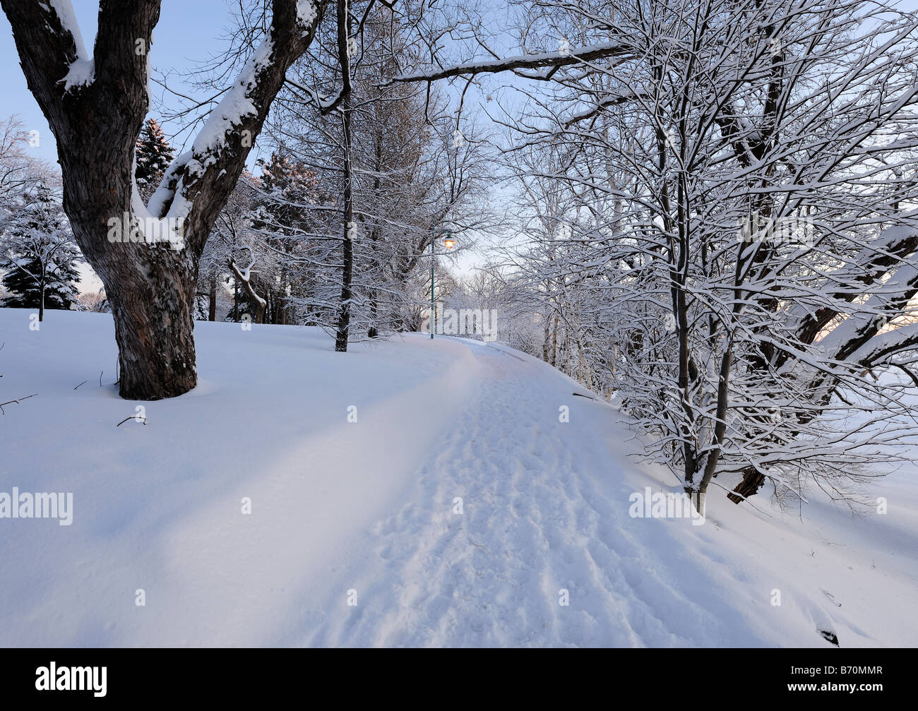 Bell park boardwalk hi-res stock photography and images - Alamy