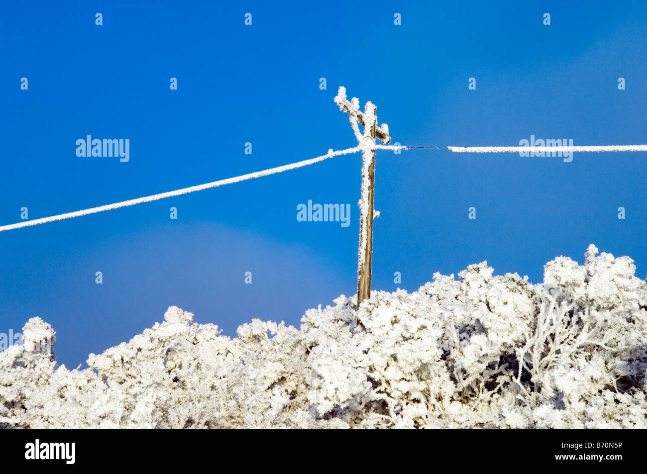 Frozen utility pole and power cables against blue sky Stock Photo - Alamy