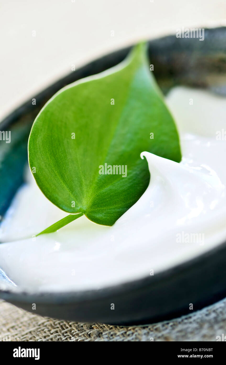 Natural face cream or skincare with green leaf Stock Photo - Alamy