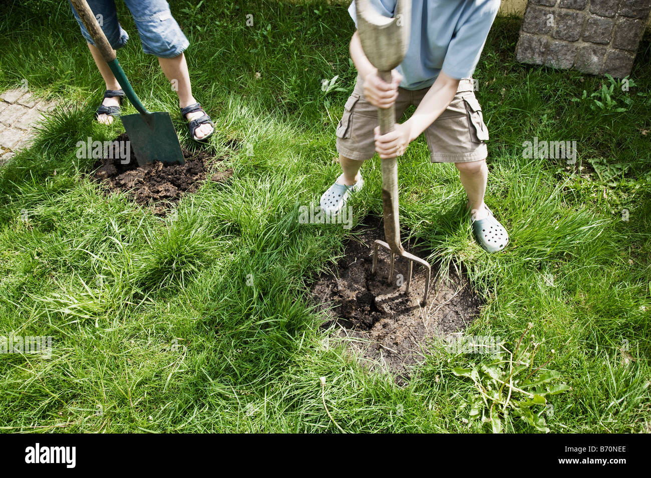 Two boys planting a trees Stock Photo - Alamy