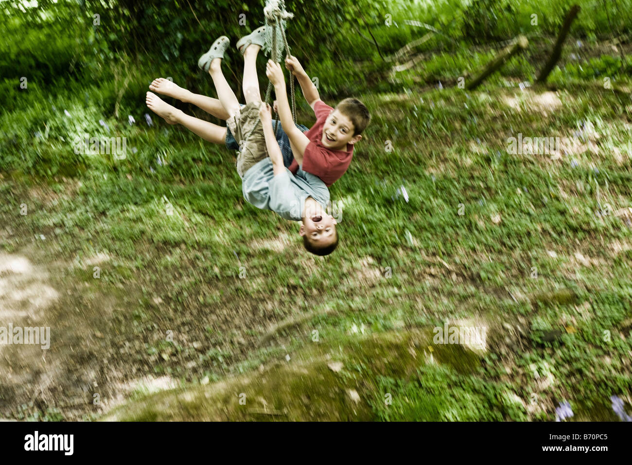 two boys on a rope swing in forest on a summers day Stock Photo - Alamy