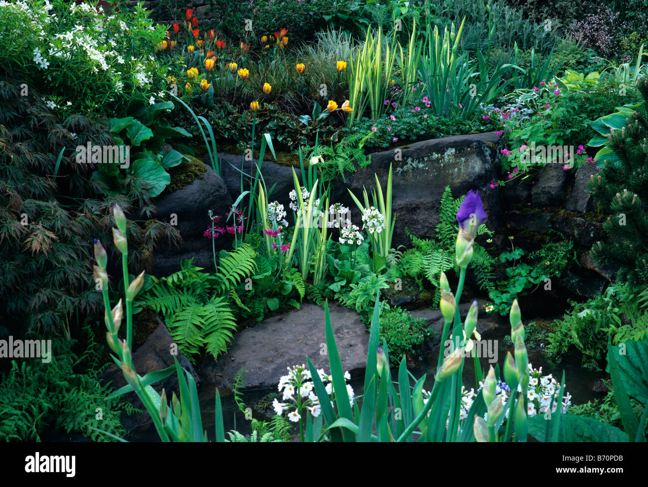 Flowers water gardens rockery hi-res stock photography and images - Alamy