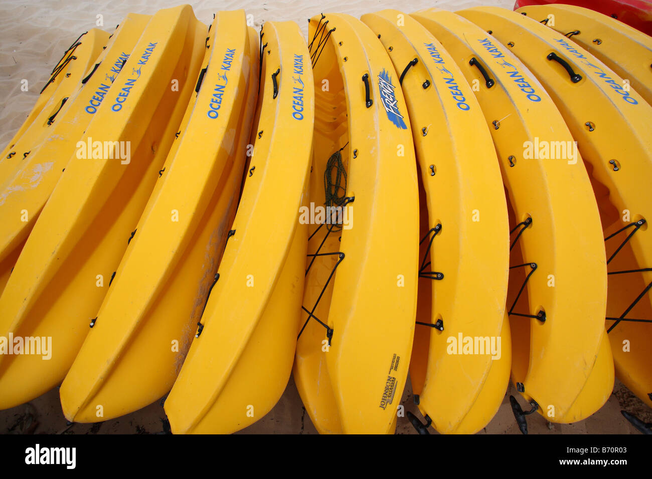 A ROW OF BRIGHTLY COLOURED YELLOW CANOES ON A BEACH QUEENSLAND ...