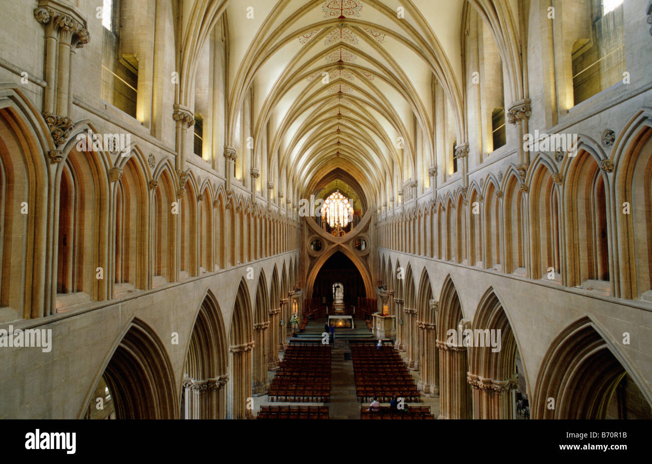 Interior Cathedral knave Two tiers of arches Fan vaulted roof WELLS ...