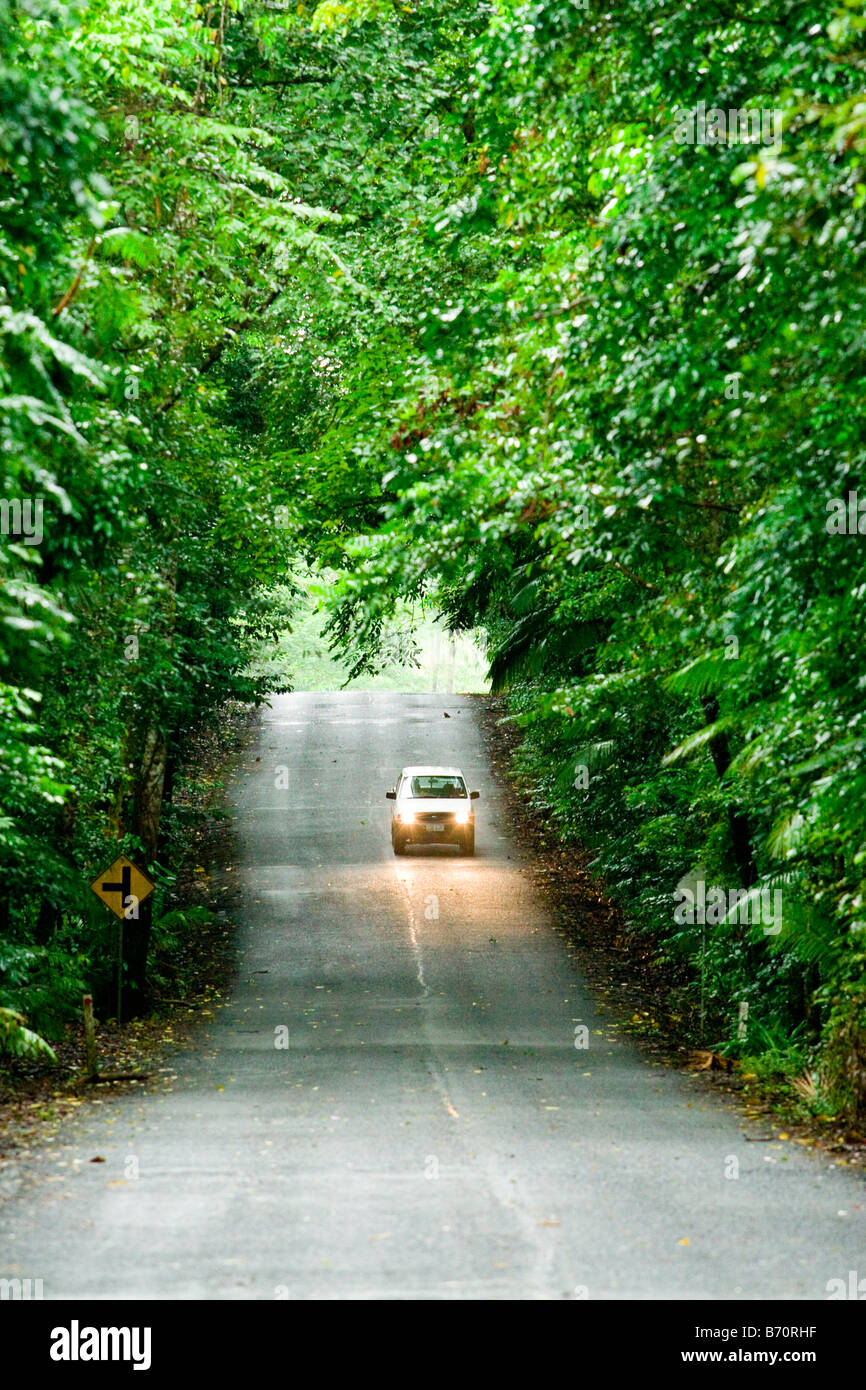 A solitary car drives through the thick rainforest of the Daintree ...