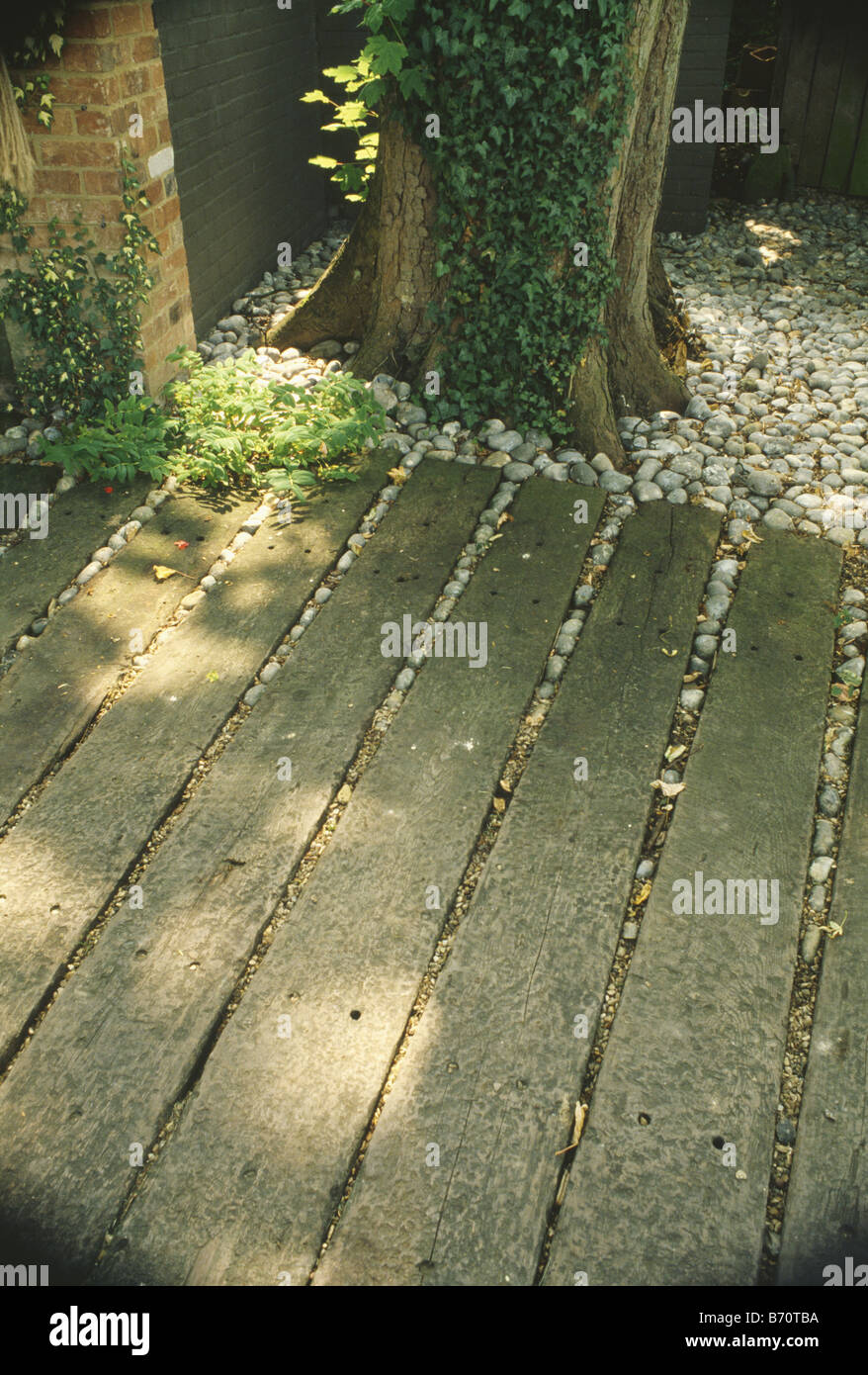 Close-up of decked path in front of tree trunk Stock Photo - Alamy
