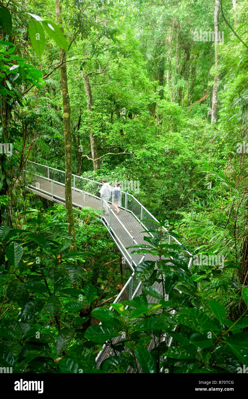 Elevated walkways take visitors through the canopy of the Daintree ...