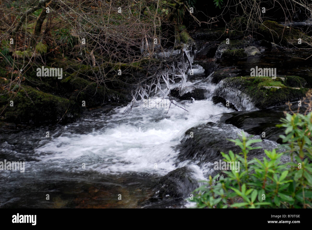 Tributary of Badgworthy water on Exmoor with winter frost Stock Photo ...