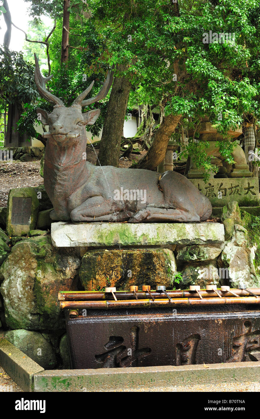 Nara Koen, Nara City, Nara Prefecture, Kansai, Honshu, Japan Stock ...