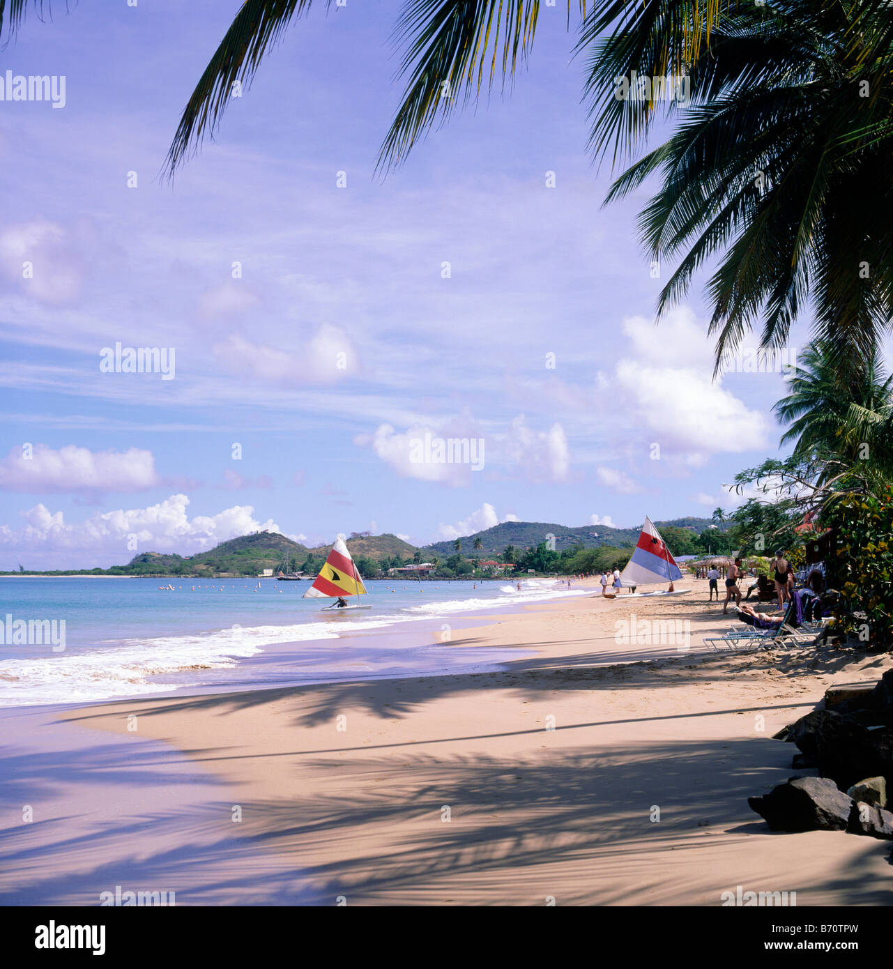 Windward Island Beach Smooth sand Shade of palm trees Windsurfers ...