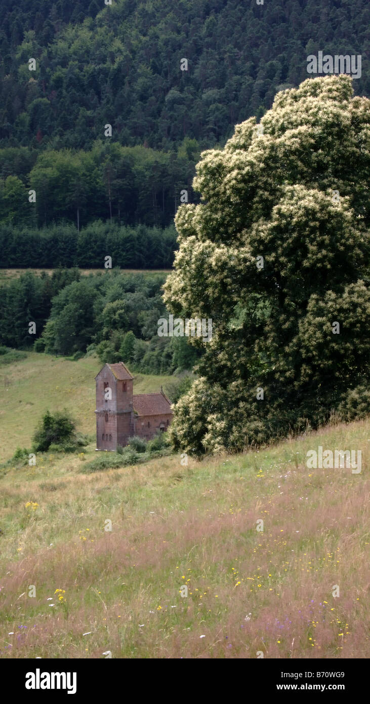 huge tree at spring in a valley with a middle ages church in the ...