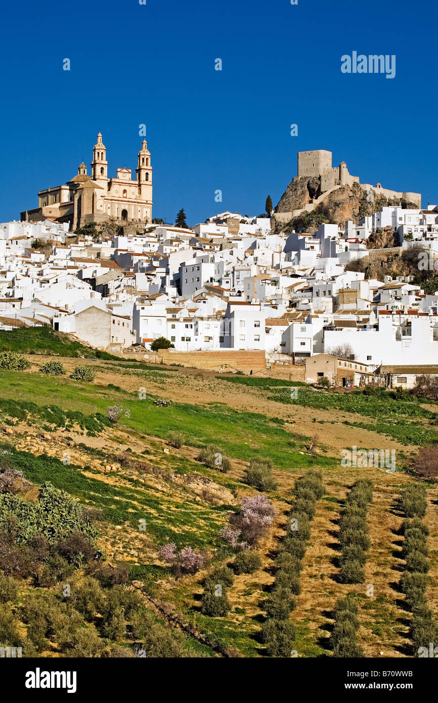 Edificios de sevilla hi-res stock photography and images - Alamy
