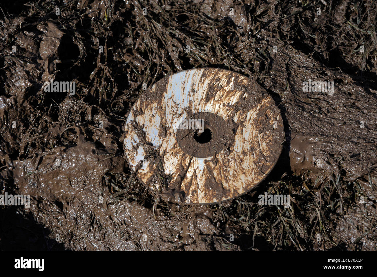 A discarded compact disc lying in mud Stock Photo - Alamy