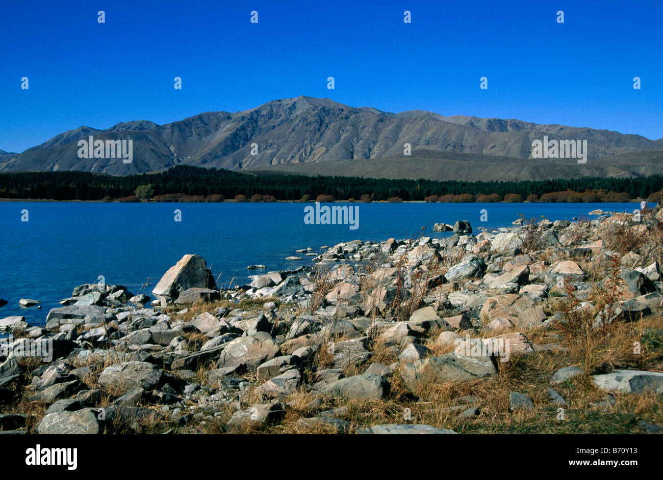 Lake Landscape mountains Trees Rocky shoreline TEKAPO SOUTH ISLAND NEW ...
