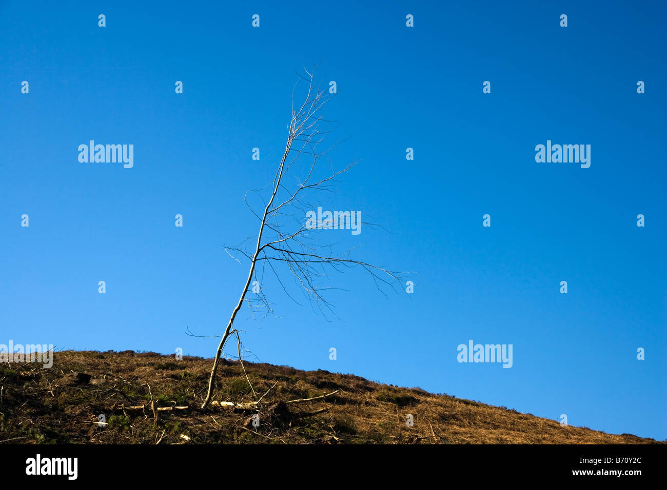 Lone tree reservoir hi-res stock photography and images - Alamy