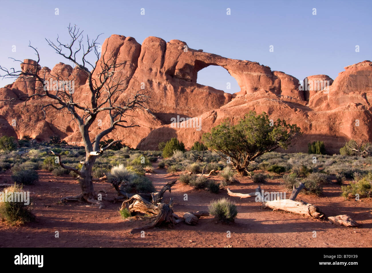 Arch towers hi-res stock photography and images - Alamy
