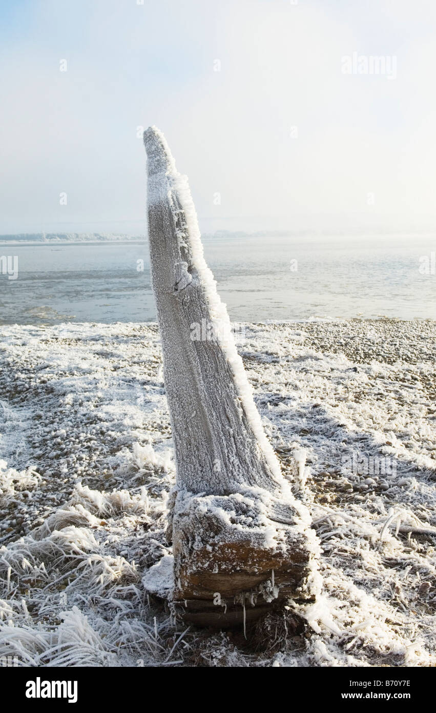 Stump bay hi-res stock photography and images - Alamy