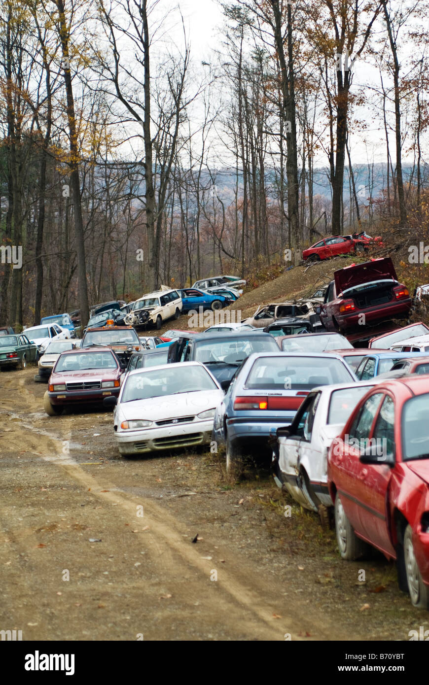 automobile junkyard with parts of cars for sale Stock Photo - Alamy