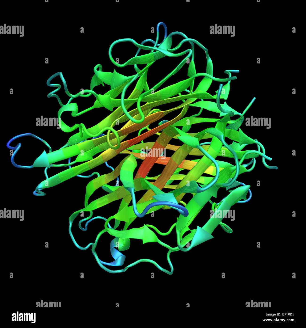 Ribbon molecular model of RANKL molecule Stock Photo - Alamy