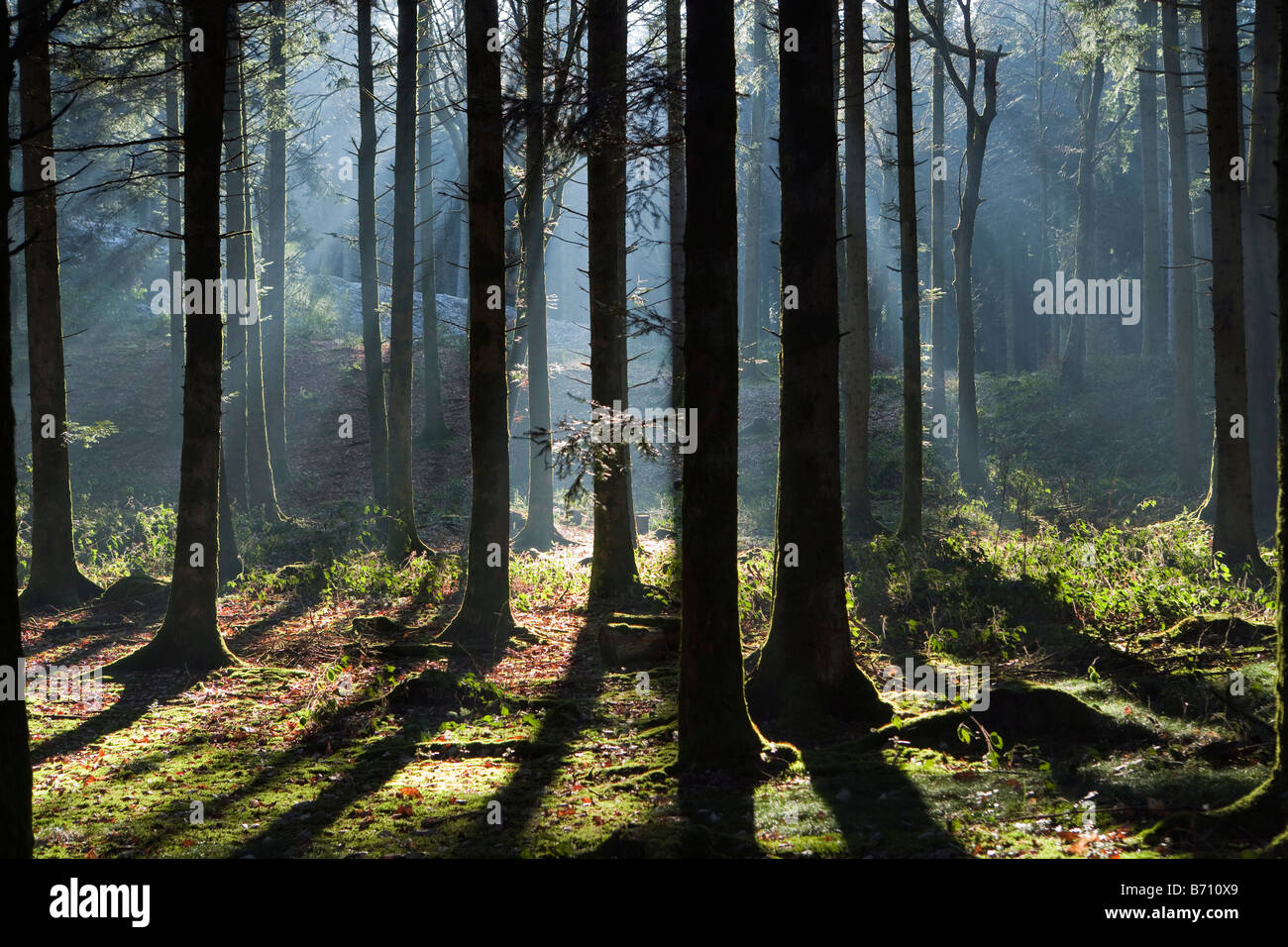 Morvan national park france hi-res stock photography and images - Alamy