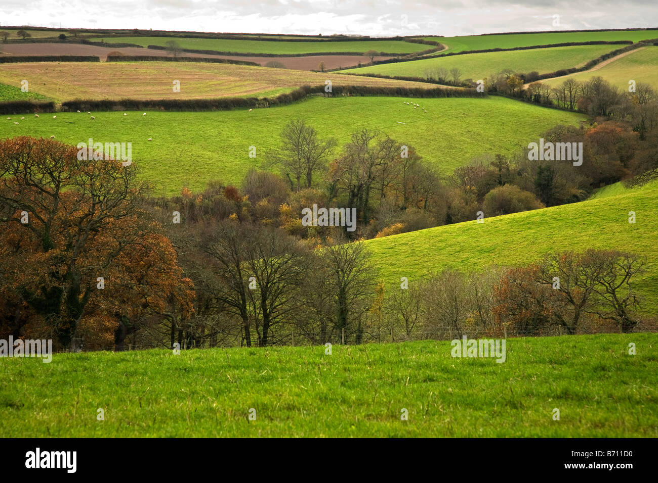 Farm hedges hi-res stock photography and images - Alamy
