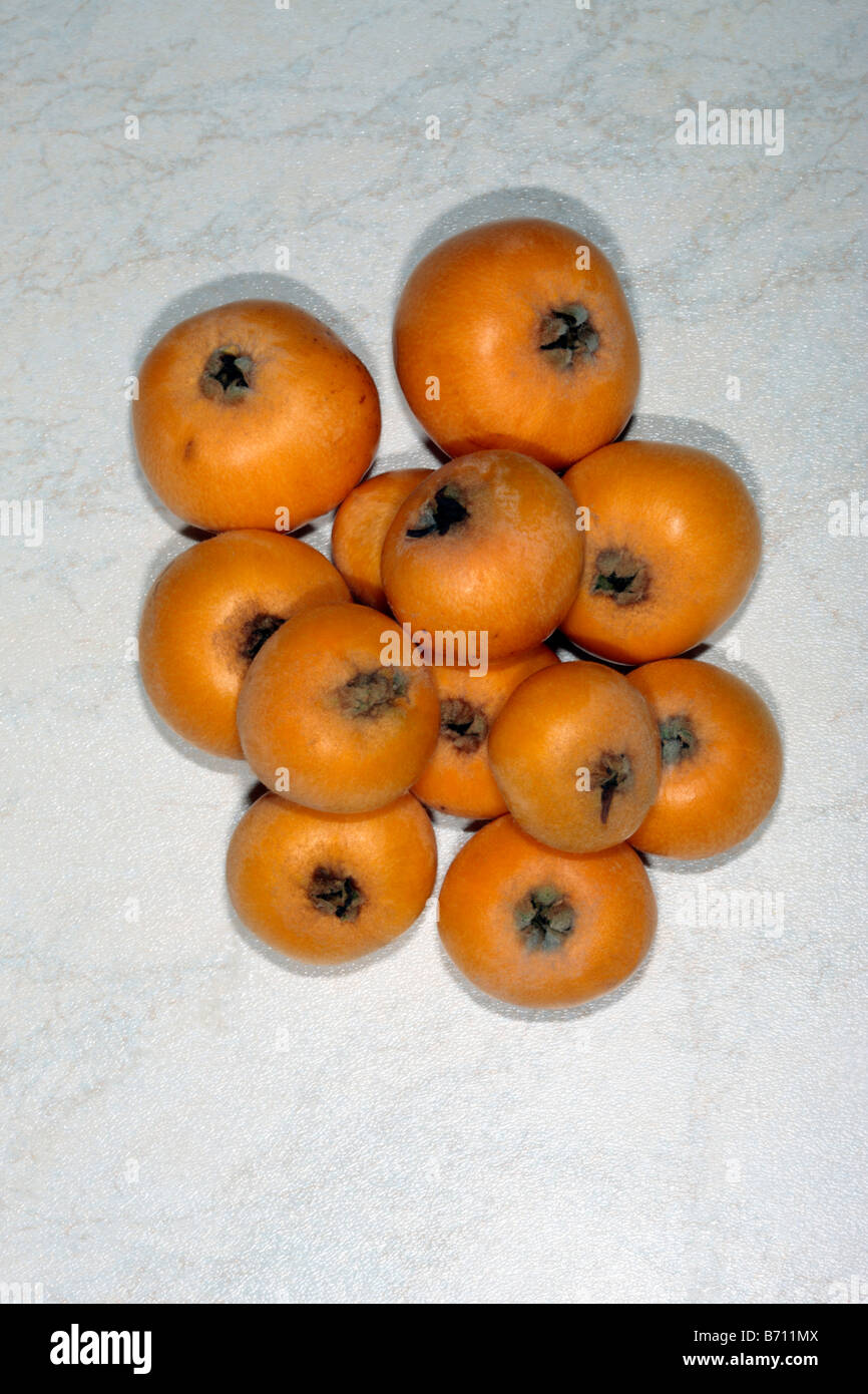 Loquat / Japanese Plum / Chinese Plum- fruit-Eriobotyra japonica ...