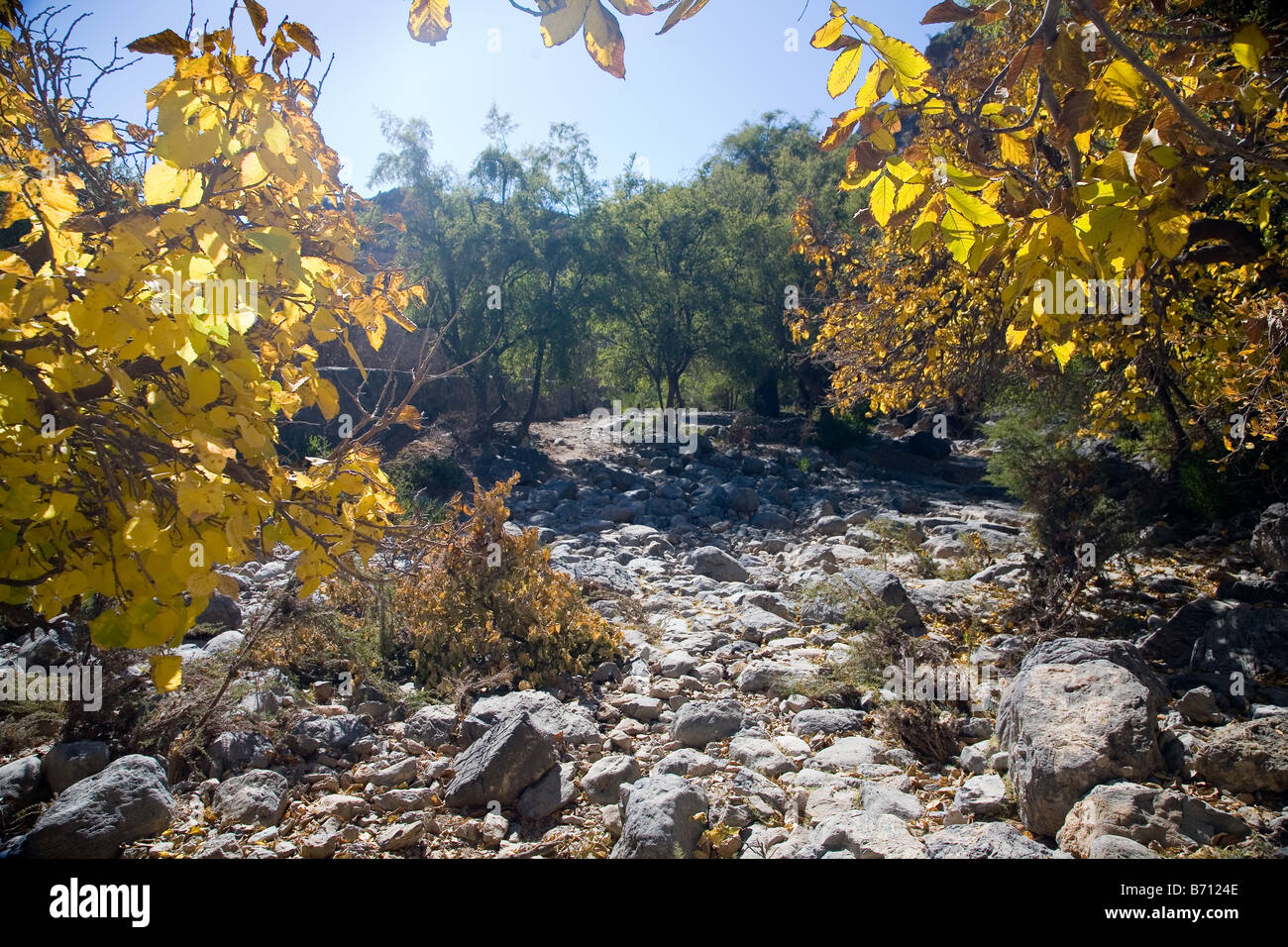 Wadi Bani Habib in Oman in autumn Stock Photo - Alamy