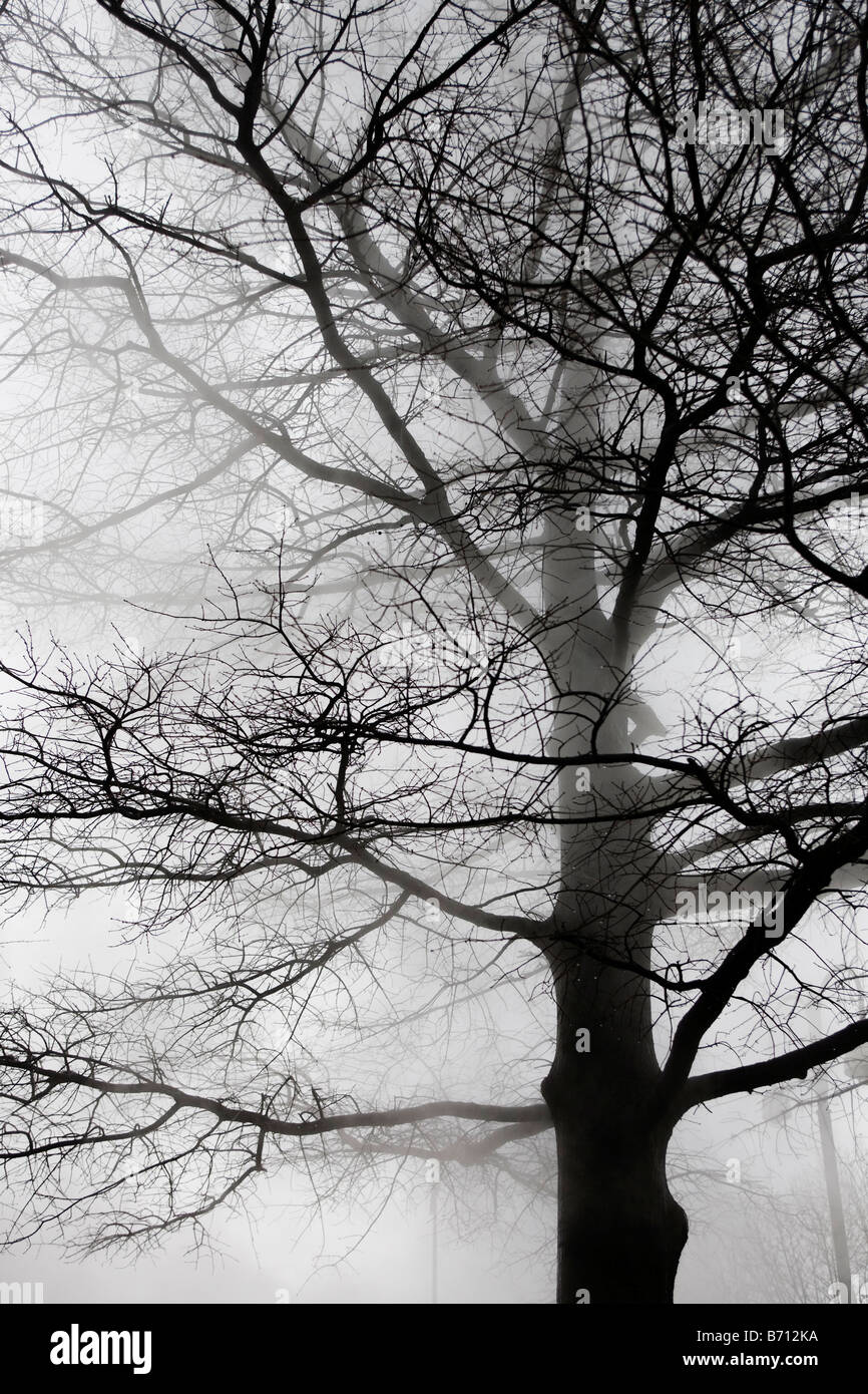 Foggy steam hi-res stock photography and images - Alamy