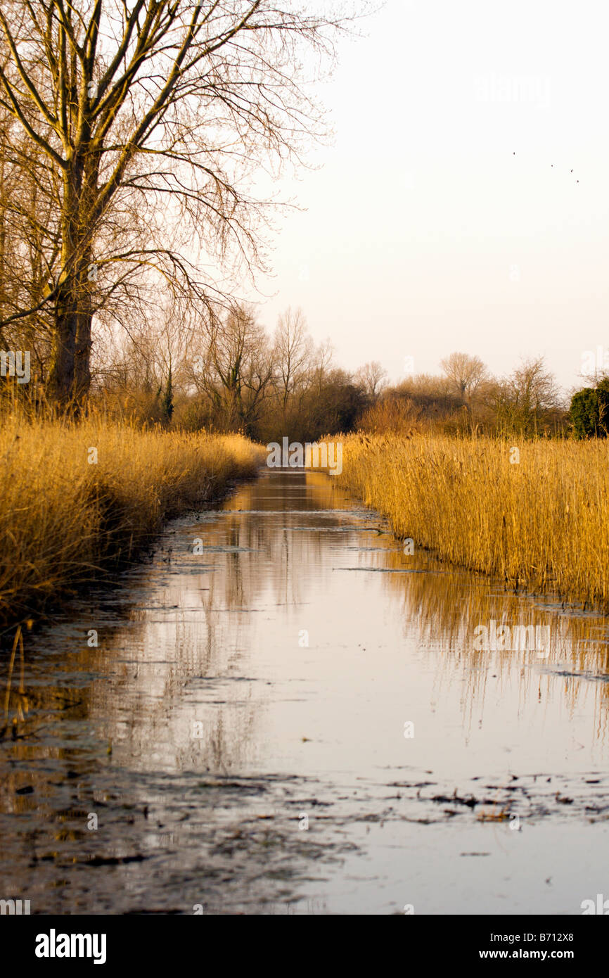 Fen stream hi-res stock photography and images - Alamy