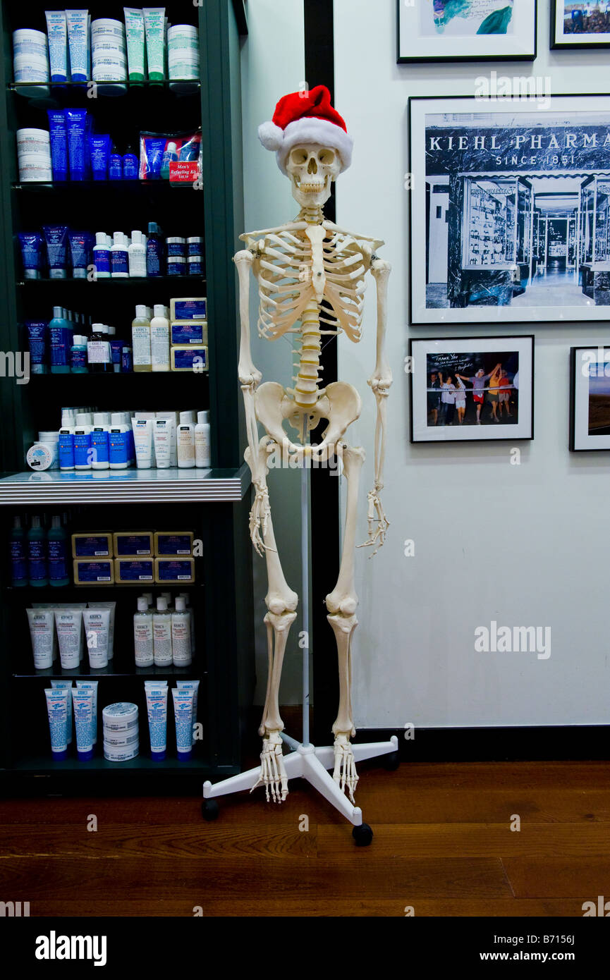 Human skeleton photos hi-res stock photography and images - Alamy