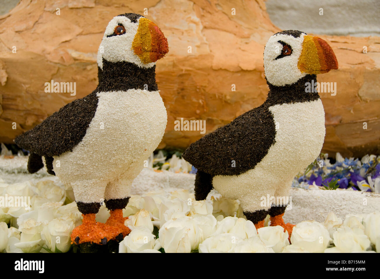 Birds parade hi-res stock photography and images - Alamy