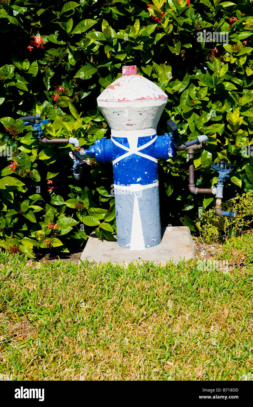 Palm Beach Shores , water hydrant with sprinklers in garden , painted ...