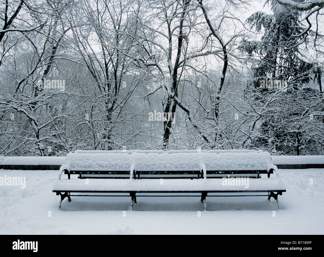 Snow Storm Park Bench Snowfall Rates Expected To Increase As Much Of
