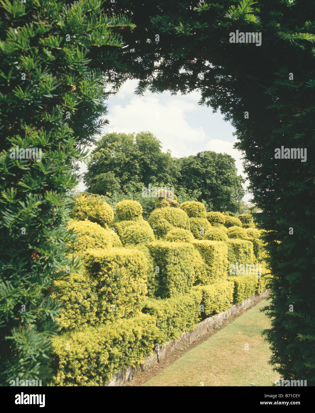 Yew hedge with arch hi-res stock photography and images - Alamy