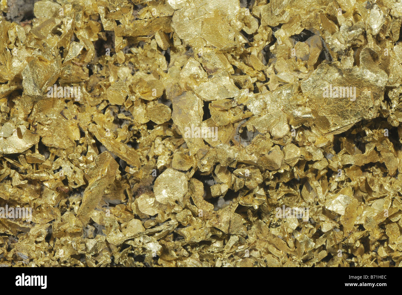 Valuable grass hi-res stock photography and images - Alamy