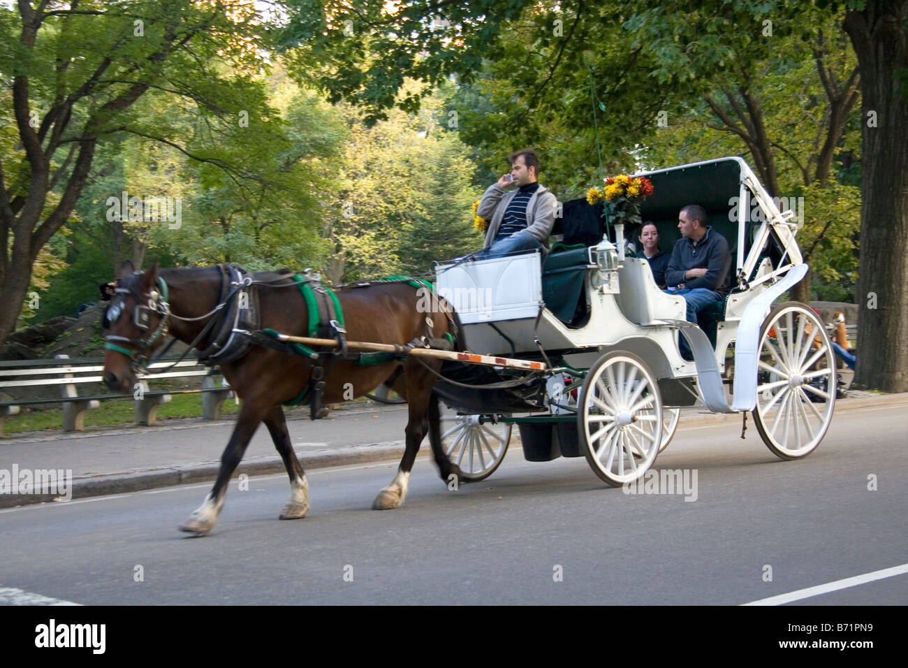 Hack carriage hi-res stock photography and images - Alamy