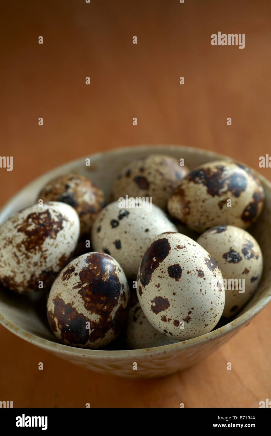 Quail eggs quails egg hi-res stock photography and images - Alamy