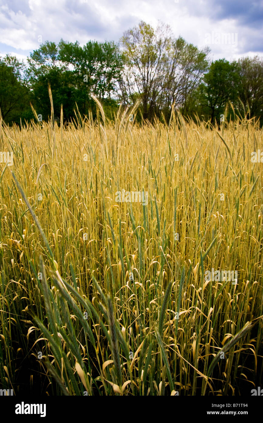 Rural Tennessee Stock Photos & Rural Tennessee Stock Images - Alamy