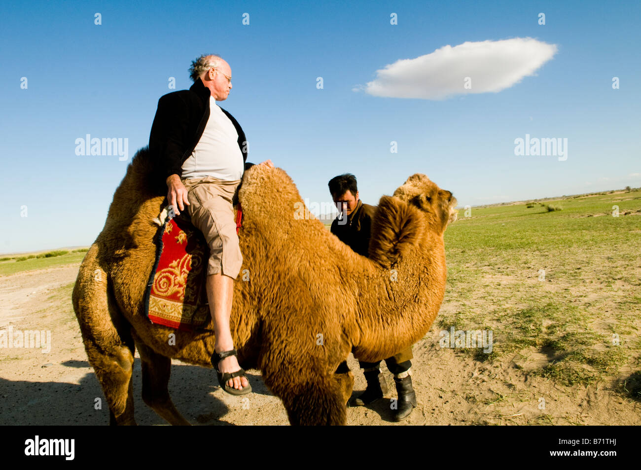 A traveller enjoys a ride on a double hump bactrian camel in the great ...