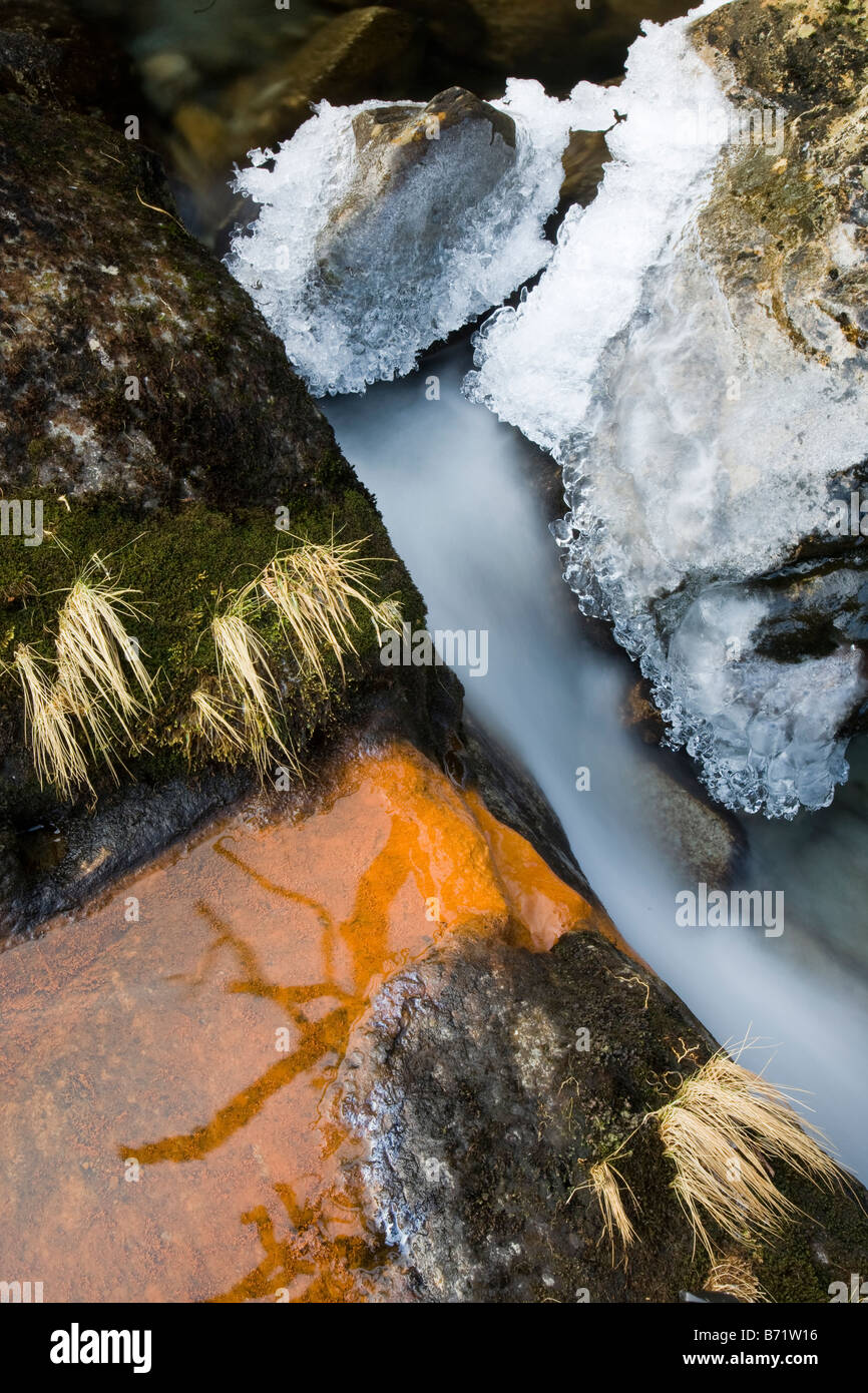 Iron bacteria hi-res stock photography and images - Alamy