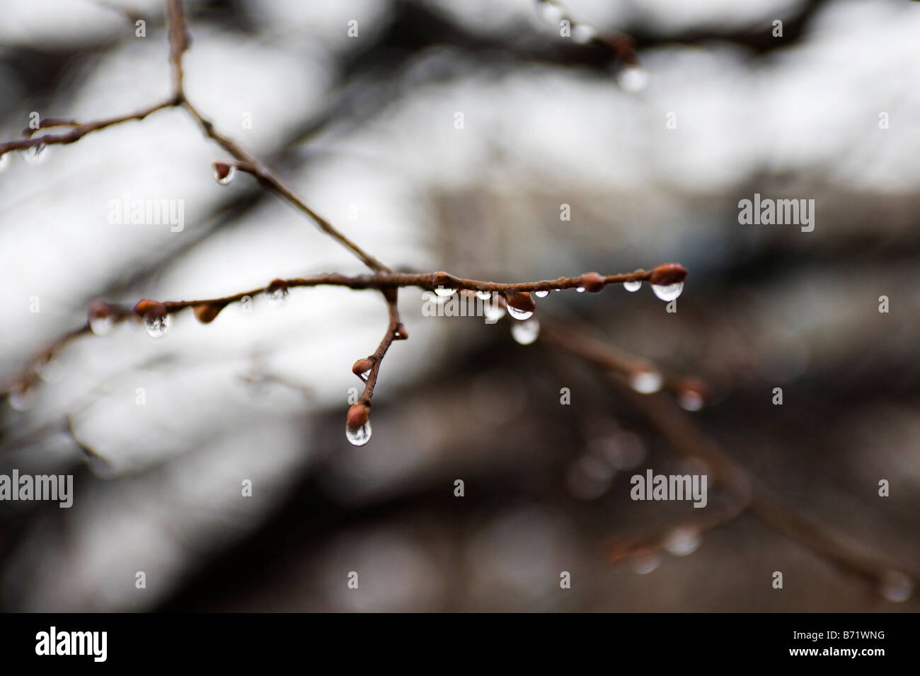 Jkljkl hi-res stock photography and images - Alamy