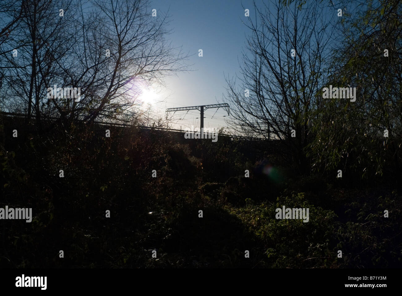Railway power line gantry through trees in Newcastle upon Tyne Stock ...