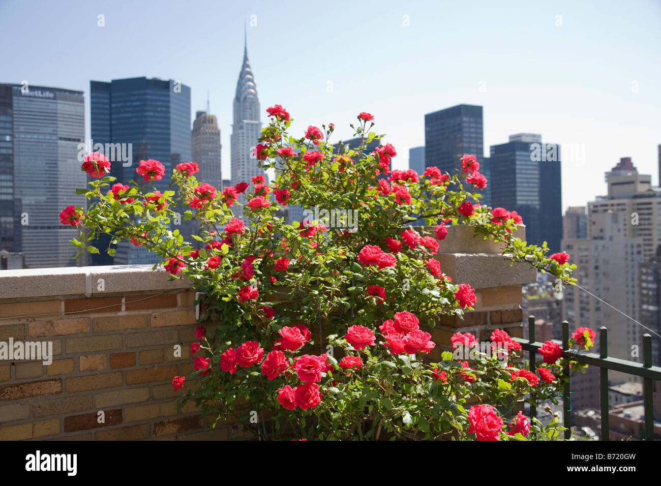 New york rooftop sunbathing hi-res stock photography and images - Alamy