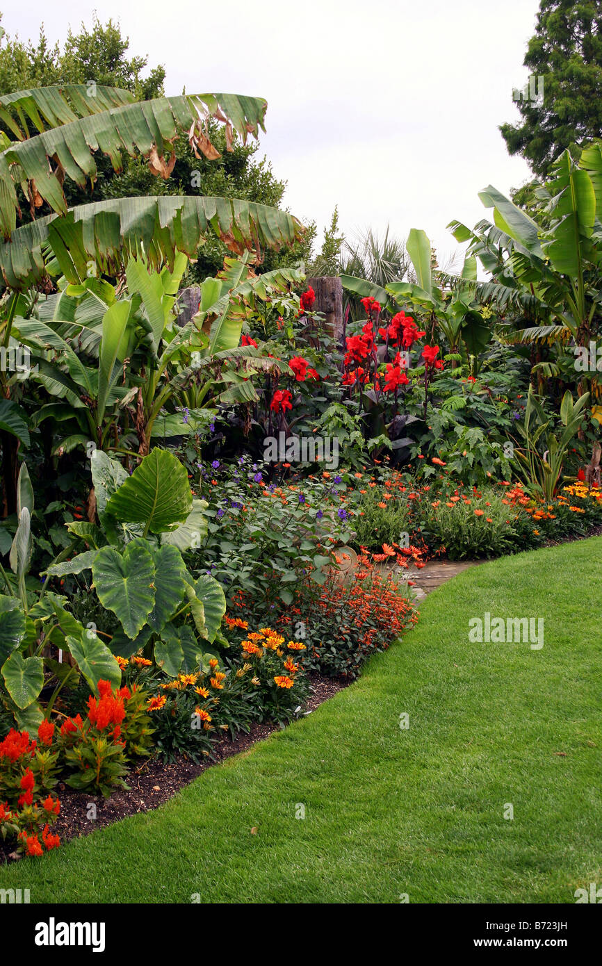 Tropical Borders