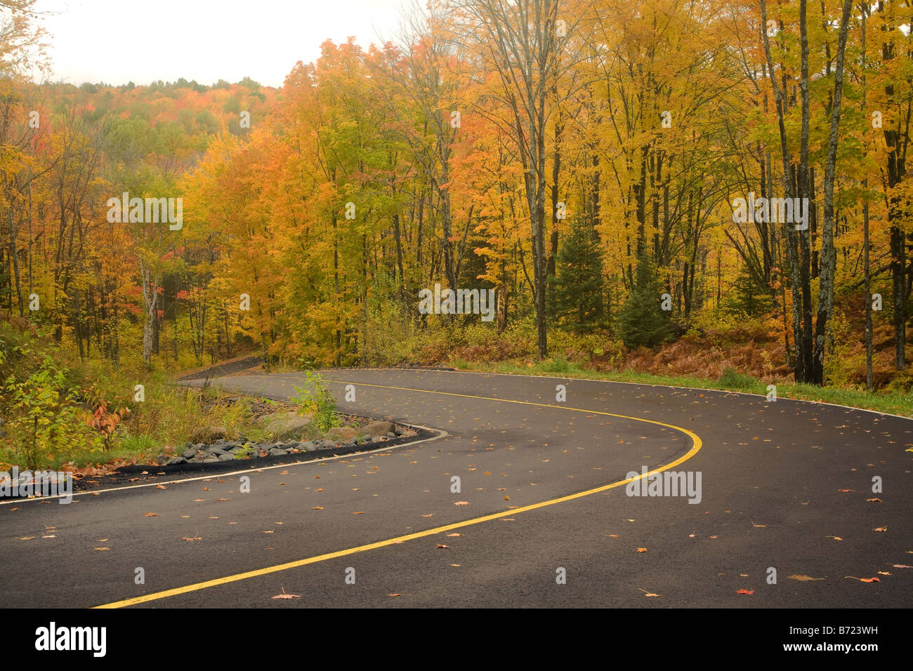 MICHIGAN - Fall color in forest along road to Bond Falls State Scenic ...