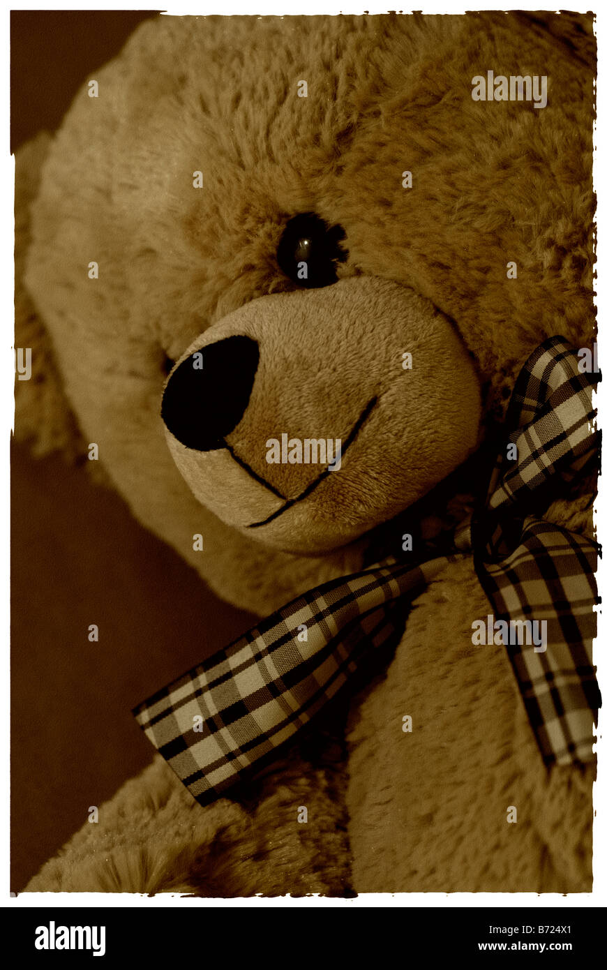 Teddy bears face hi-res stock photography and images - Alamy