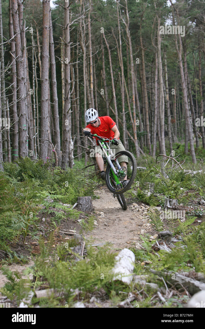 A Mountain Biker riding down a trail Stock Photo - Alamy